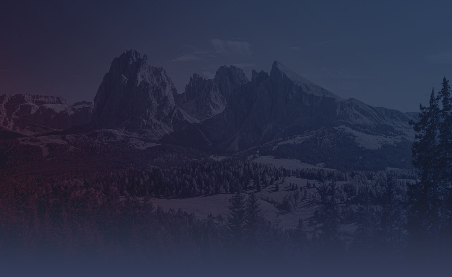 SEM Client Success Stories | HawkSEM Digital Marketing